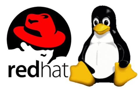 red hat spruces up 2011 s enterprise linux with rhel 6 6 beta the