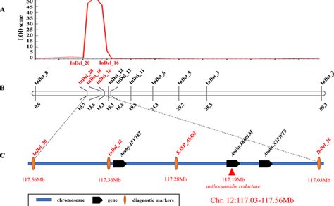Identification Of The Candidate Genes Of Ahrt2 Through Qtl Mapping A