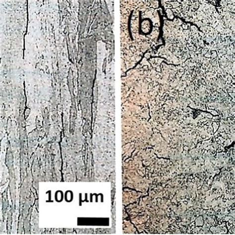 A Microstructure Of The Sample In Longitudinal Section After Slm T1