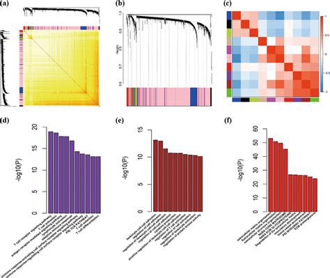 identification of co expression modules with wgcna a heatmap