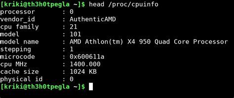 How To Display Contents Of A File In Linux Liquid Web