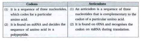 Give Differences Codons And Anticodons Codons