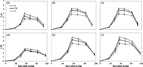 Maize Canopy Leaf Area Index Lai ± S E Development During The