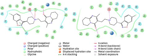 2d Protein Ligand Interactions Created For Ifd Le F T Risperidone