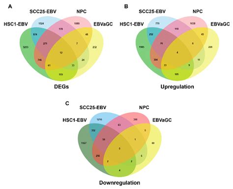 Differential Expression Of Genes Between Ebv Infected Oscc Npc And Gc