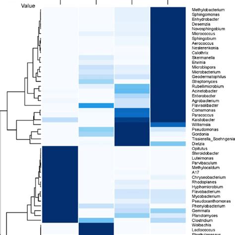 A Genus Level Hierarchical Clustering Of Bacterial Distribution From