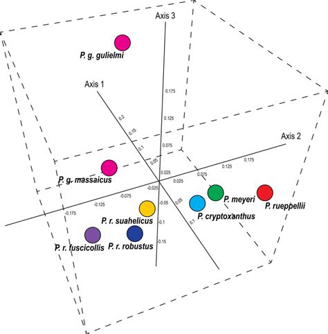 A 3d Principal Coordinates Analysis Pcoa Generated In Xlstat 2014