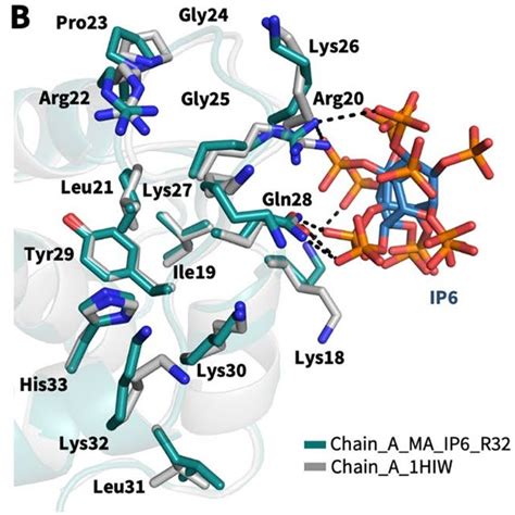 Superposition Of Ma Domain Structure Pdb Id 1hiw And Our Structures