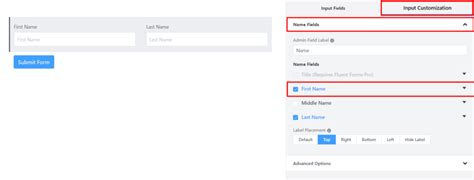name input field in wp fluent form wordpress plugin