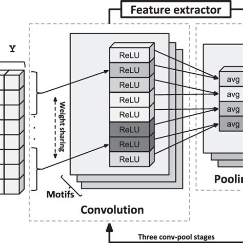 The Architecture Of The Dcnn Processing An Input Protein Sequence To