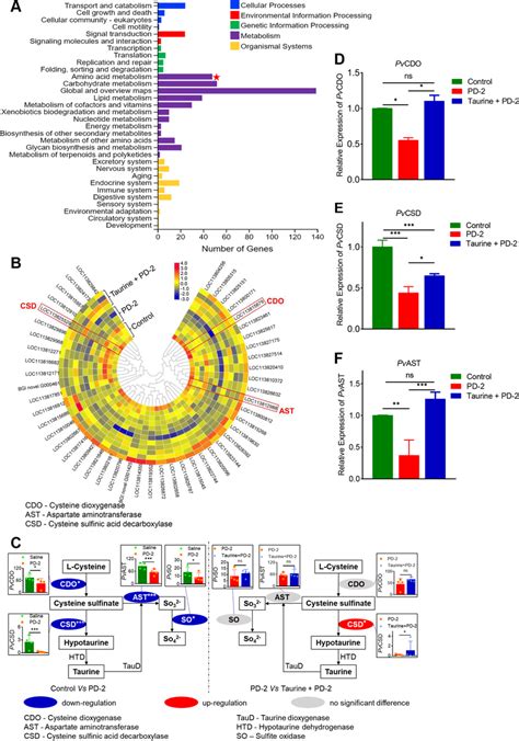 Annotation Of Genes Significantly Downregulated By V Parahaemolyticus