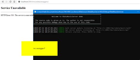 swagger how to enable tms xdata tms support center