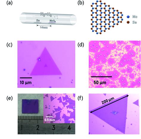 A Schematic Of Cvd Growth System B Atomistic Model Of Monolayer