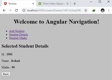 overview of optional route parameters in angular
