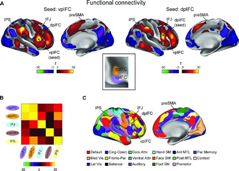 Functional Connectivity And Network Analyses Of The Five Cortical Areas