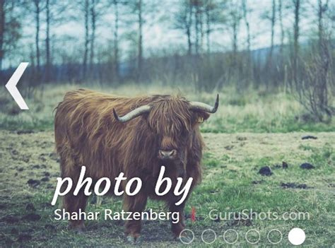 animated svg image slider jquery plugin