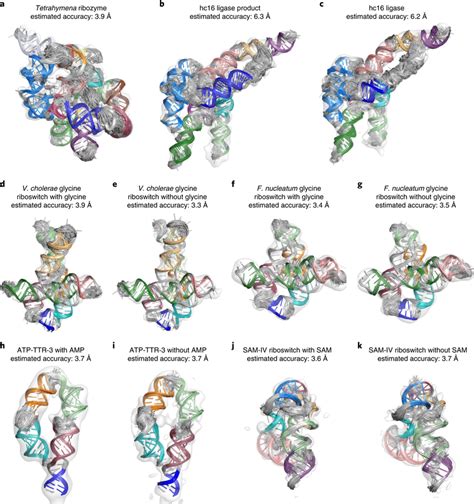 Rna Structures Determined By The Ribosolve Pipeline A K Top Scoring