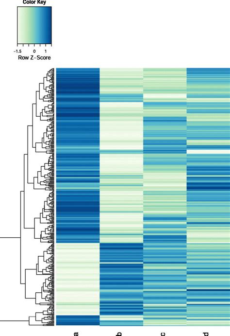 Expression Profiles Of Differentially Expressed Transcripts Among Root