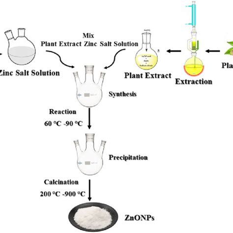 Pdf A Review On Biogenic Green Synthesis Of Zno Nanoparticles By
