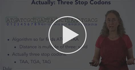 three stop codons strings in java coursera