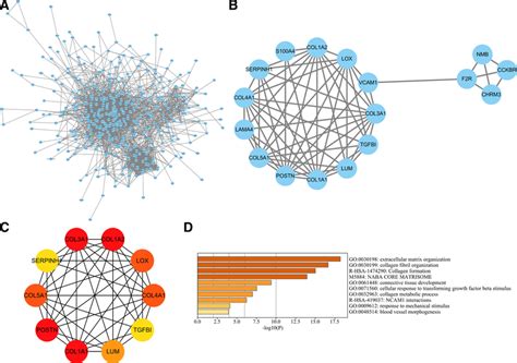 The Ppi Network Of Degs The Significant Mcode Module And Hub Genes