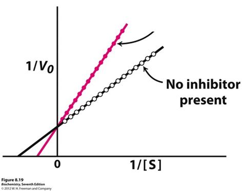 Enzyme Kinetic Graphs Flashcards Quizlet