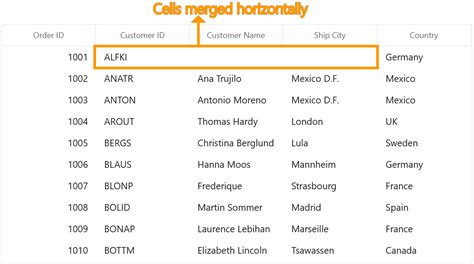 merge cells in winui datagrid control syncfusion