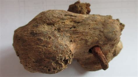 Top 10 Most Fascinating Archaeological Discoveries Of 2021 Live Science