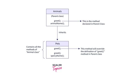 javascript class inheritance scaler topics