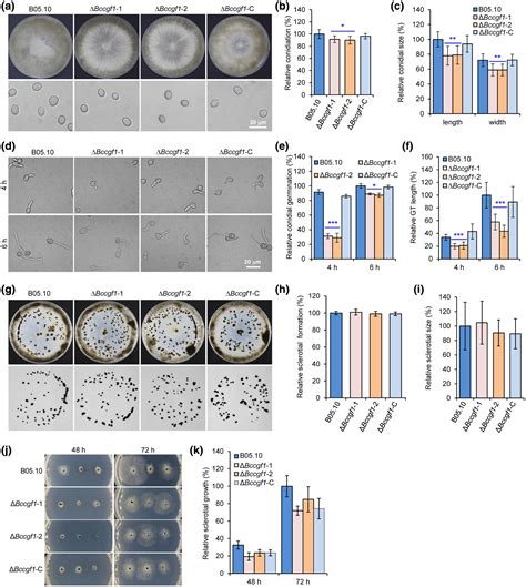 Transcriptome Analysis And Functional Validation Reveal A Novel Gene