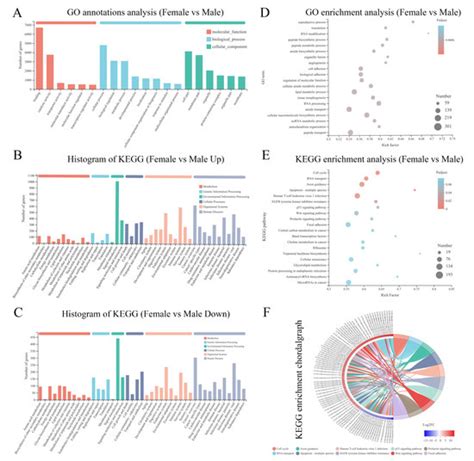 Ijms Free Full Text Gonadal Transcriptome Analysis And Sequence