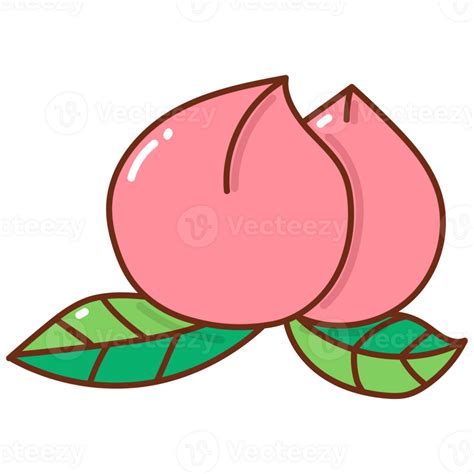 Melocotón Dibujos Animados Garabatear 39095833 Png