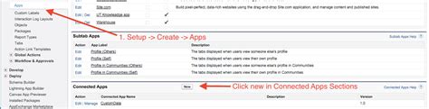 how to test salesforce rest api using rest client