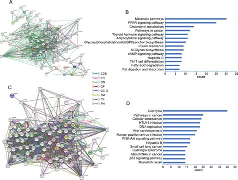 Analysis Of Dapagliflozin Induced Expression Profile Of Long Noncoding