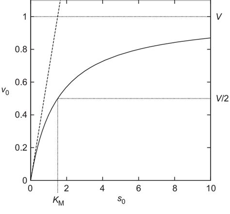 Initial Velocity V 0 Plotted Against The Initial Substrate