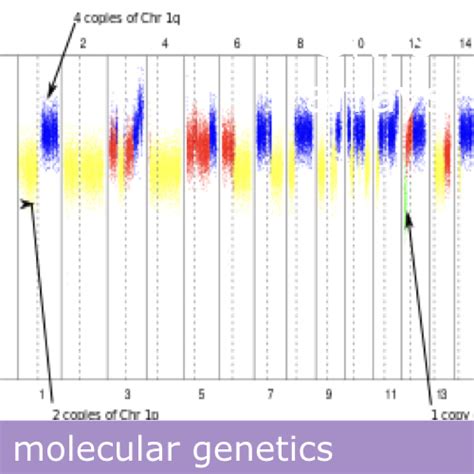 snps arrays qgenomics
