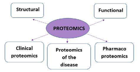 Current Proteomics Functional Proteomics The Amount Of Individual