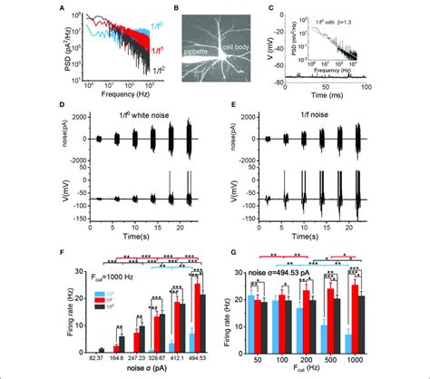 Neuronal Firing Rate In Response To Different Types Of Input Signal