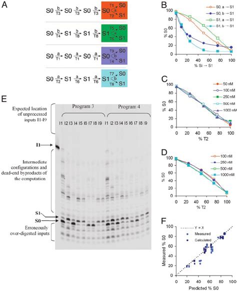Experimental Support To Stochastic Computation Reactions A