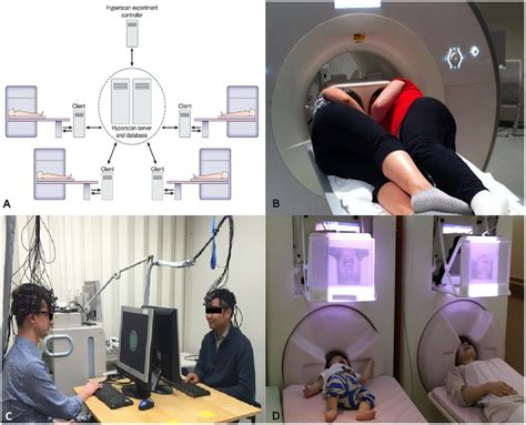 A A Schematic Representation Of Simultaneous Fmri Recording Using