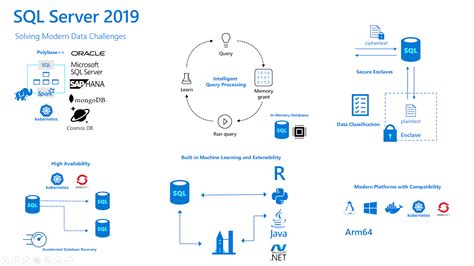 dr victoria holt life the universe and everything sql server 2019