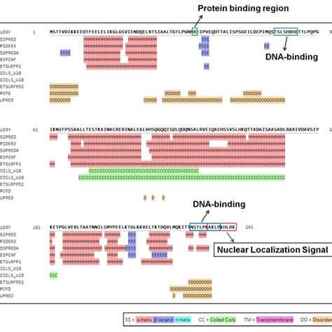 Predicted Secondary Structure And Binding Site Of Protein Orf I The