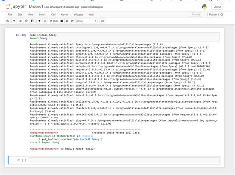[example code] persistent environmental issues in python installed