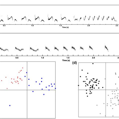 Spectrograms Of A Typical Female A And Male B F C Canariensis