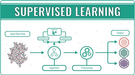 Supervised Learning Algorithms