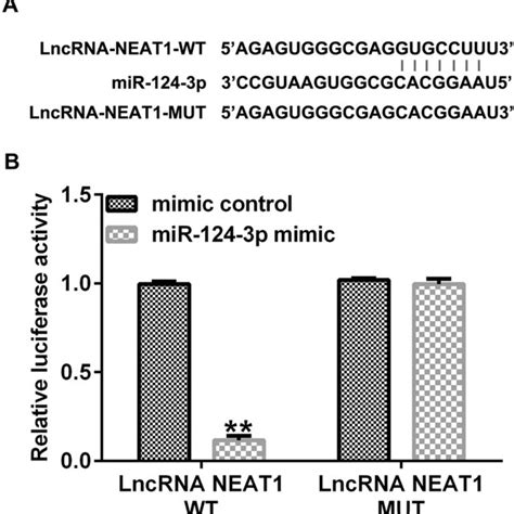 Correlation Between The Long Non Coding Rna Lncrna Nuclear