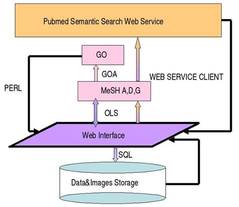 system architecture from the web interface developed in