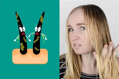 Dry Hair Vs Oily Hair Vs Normal Hair — Heres How To Tell Your Hair Type