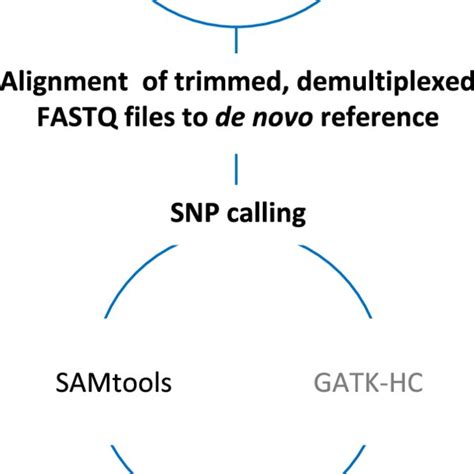 Summary Of The Bioinformatics Pipeline For Calling Snp Variants
