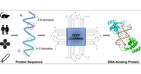 Improving Dna Binding Protein Prediction Using Three Part Sequence